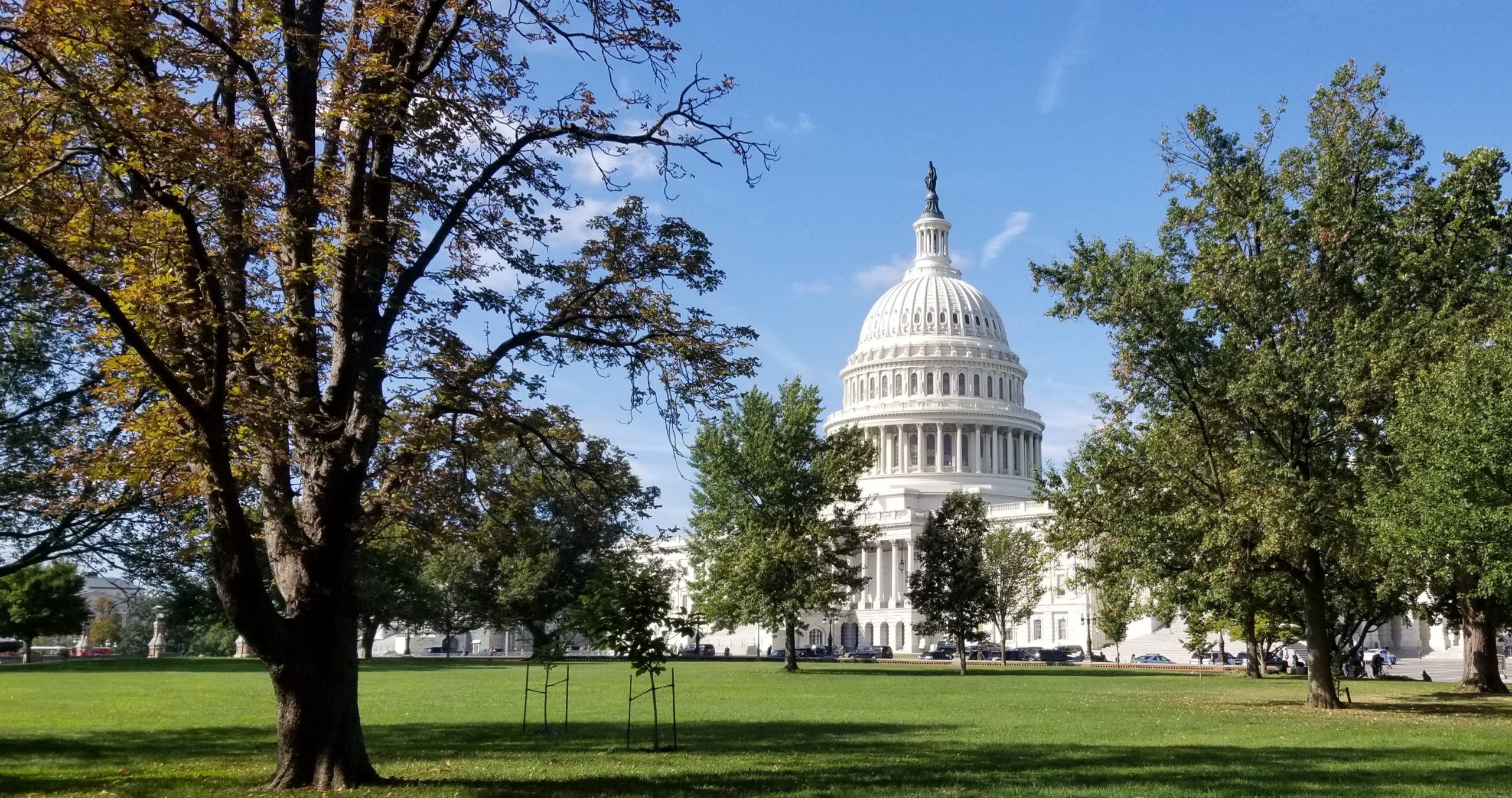 New Caucuses in Congress Create an Unprecedented Opportunity for ...